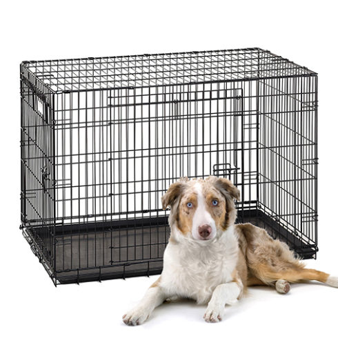 Precision Pet Crates – Hometown Animal Health