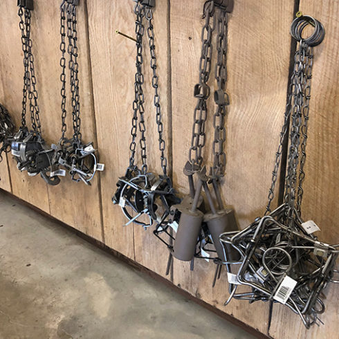 Game Traps – Hometown Animal Health